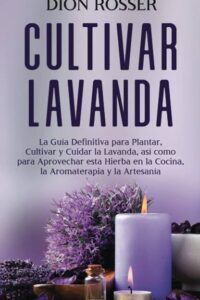 Guía completa para cultivar lavanda: consejos y pasos clave ︎