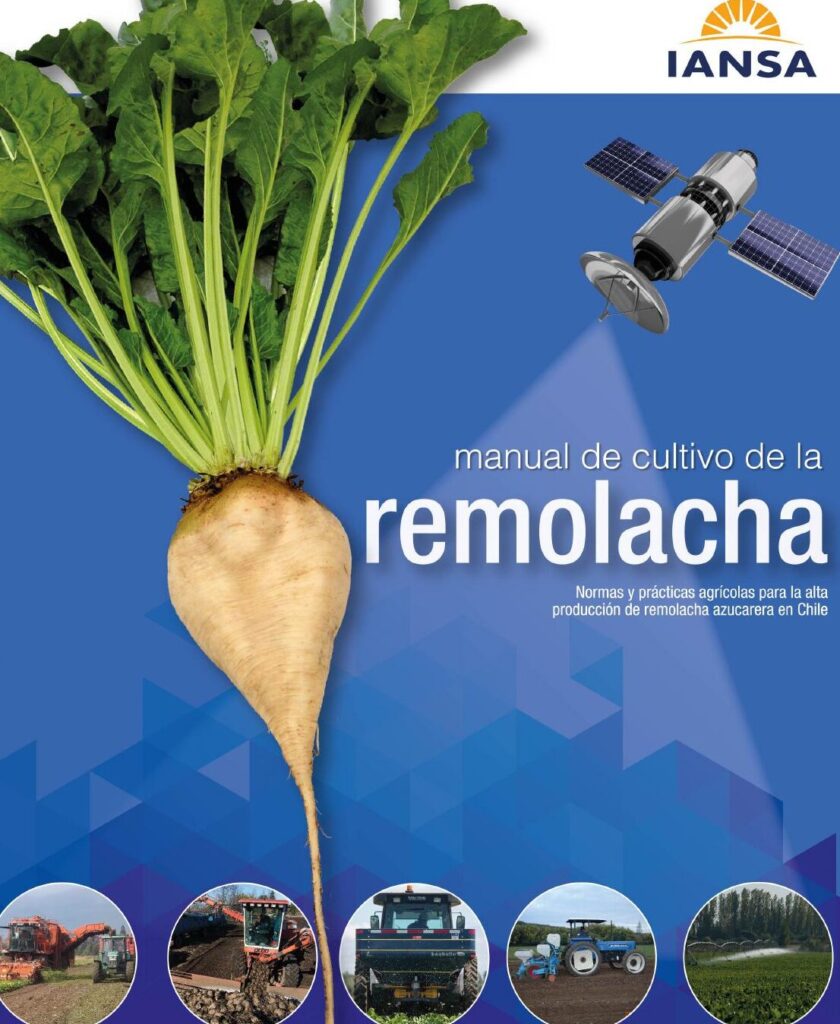 Guía completa: Siembra de remolacha azucarera paso a paso ︎