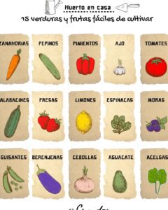 Guía completa de semillas de huerto: selecciona, siembra y cultiva con ...