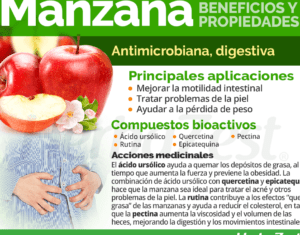 Semillas de manzana: todo lo que debes saber para su cultivo y beneficios ︎