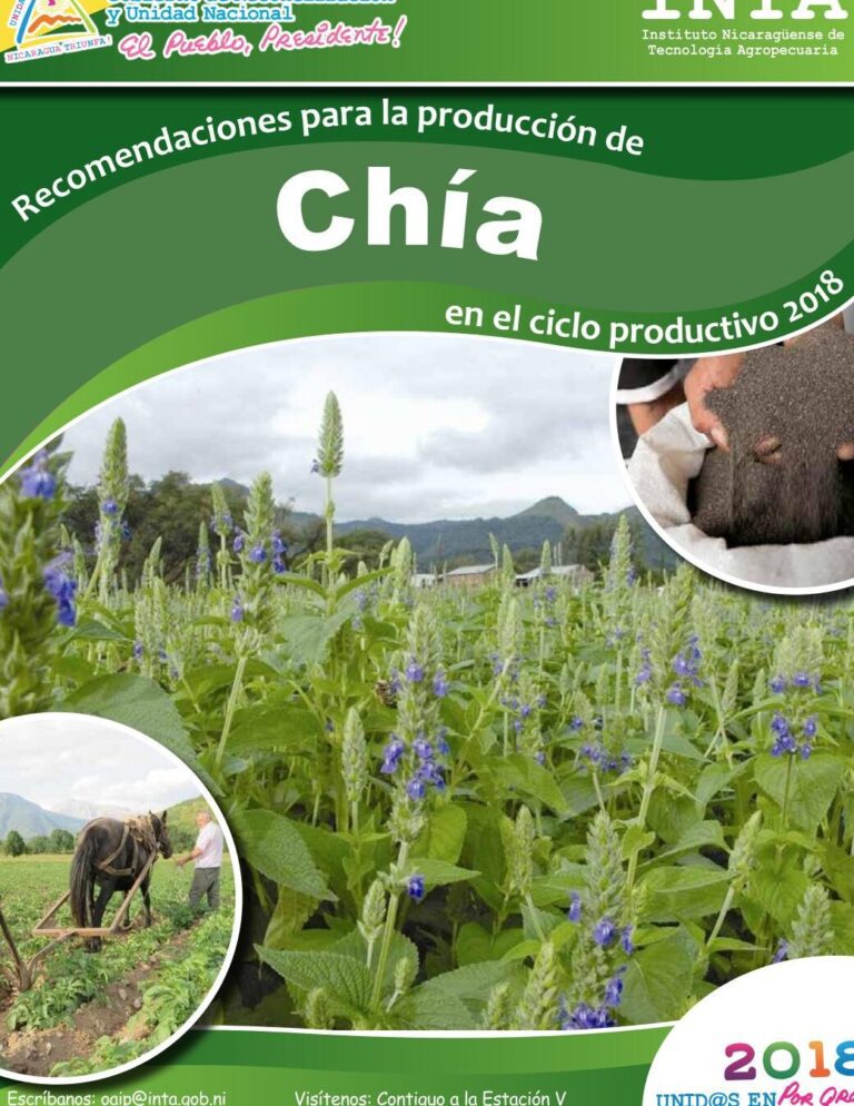 Cultivo de chía: consejos y técnicas para un cultivo exitoso ︎