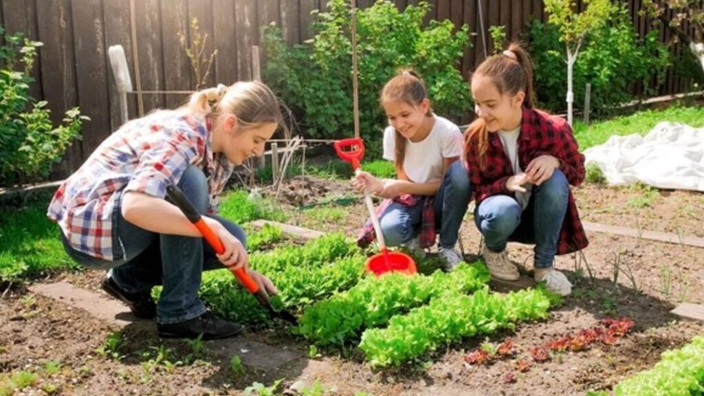 Descubre los tipos de huerto urbano: guía completa para cultivar en la ...