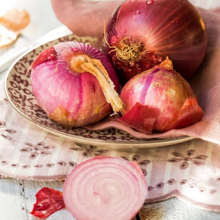 Guía definitiva para cultivar cebolla colorada: técnicas, consejos y ...