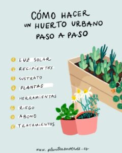 Guía práctica para sembrar plantas: consejos y pasos fundamentales ︎