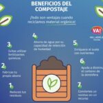 Aplicaciones del compostaje: beneficios y usos ecoamigables ︎