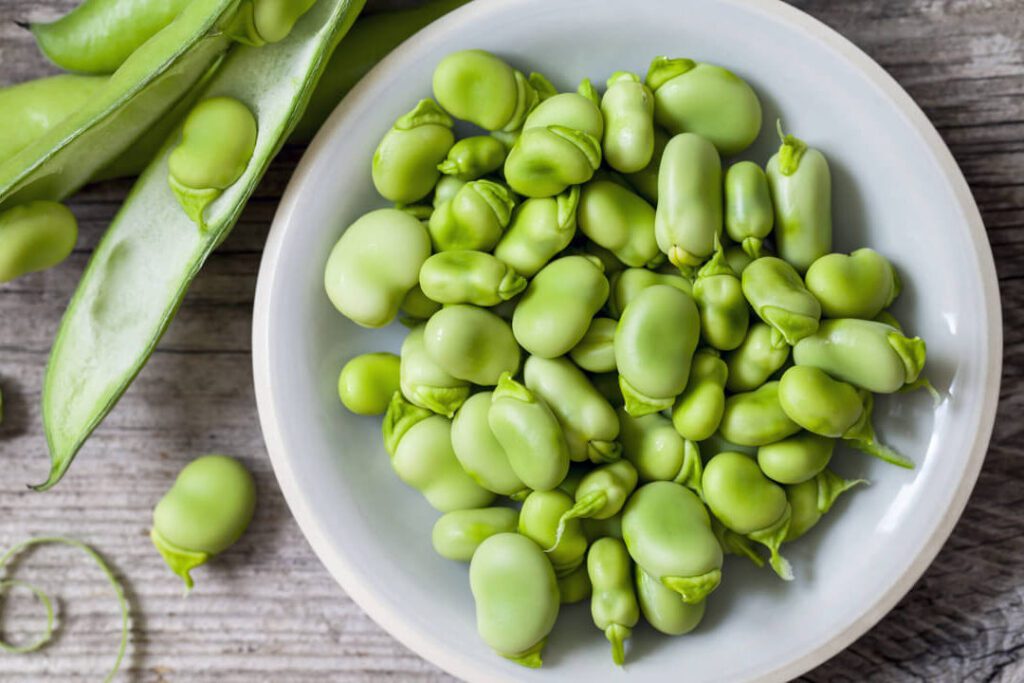 Todo lo que debes saber sobre el cultivo y cuidado del chícharo: Guía ...