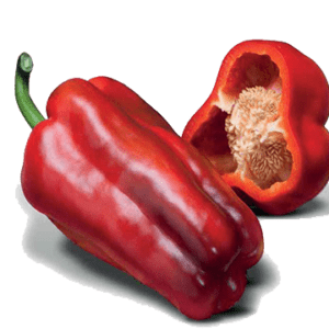 chile pimiento ︎