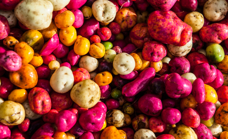 Cultivo de papas en Perú: Descubre la variedad y abundancia de este ...