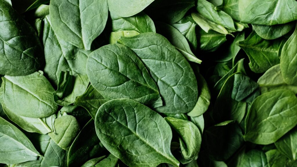 Descubre el origen de los pepinillos: una historia fascinante y ...