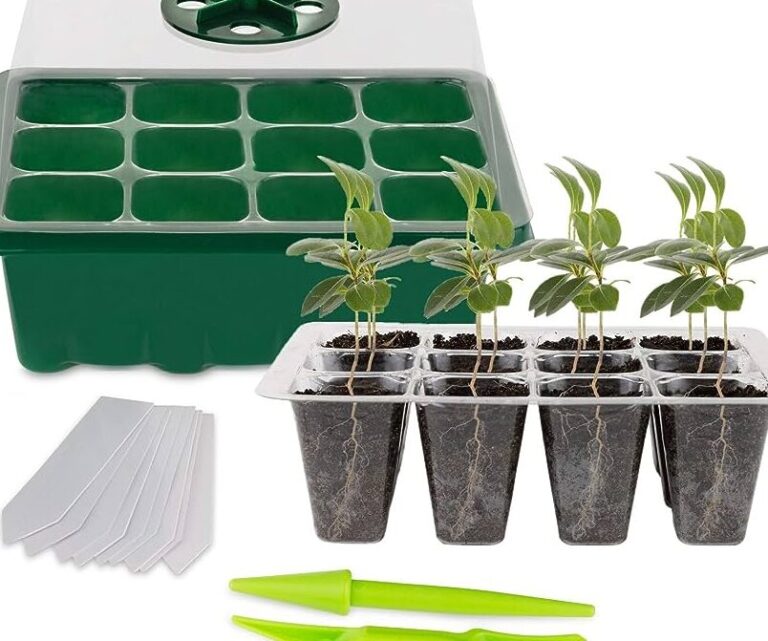 Descubre el mejor germinador de semillas: una guía completa para ...