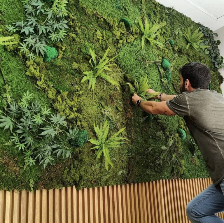 Descubre la belleza y cuidados de la planta cuerno de alce: Guía completa ︎