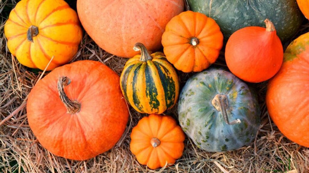Descubre los beneficios de la calabaza verde: una fuente de nutrientes ...