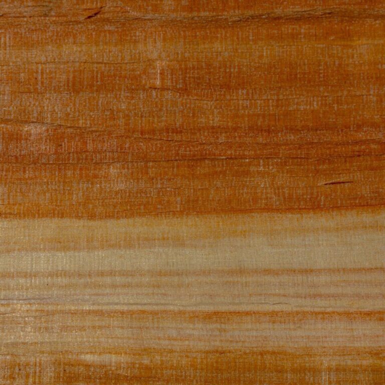 Todo sobre la madera de guindo: características, usos y beneficios ︎