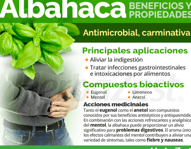 Beneficios de la hoja de albahaca: propiedades, usos y consejos ︎
