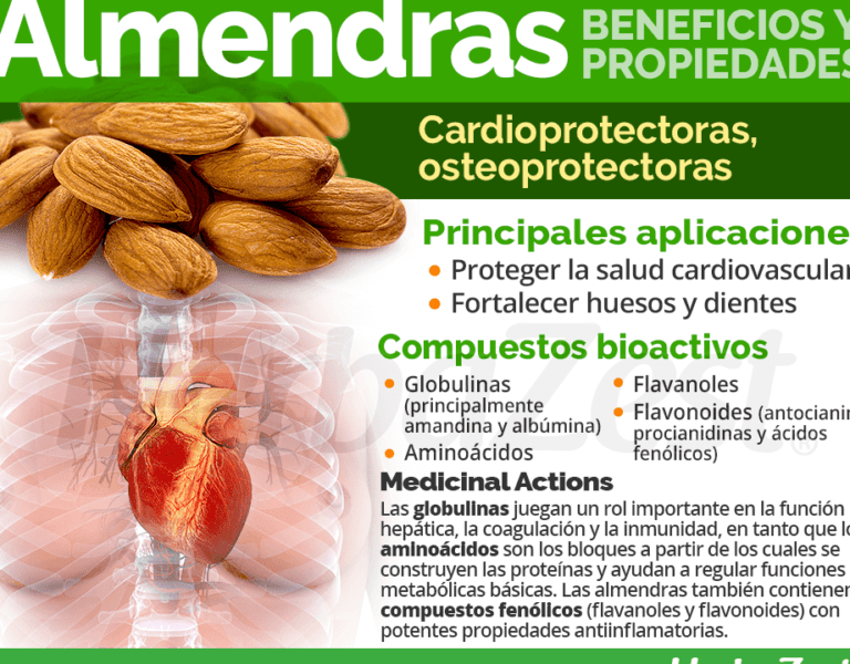 Todo lo que debes saber sobre el almendro Marcona: origen ...