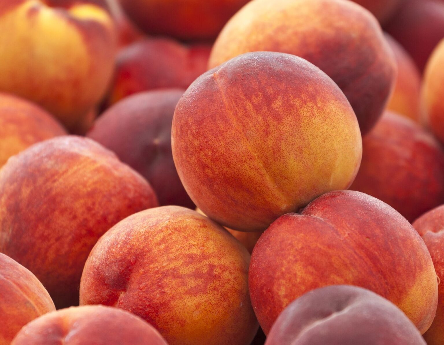Descubre todo sobre los melocotones: características, beneficios y ...