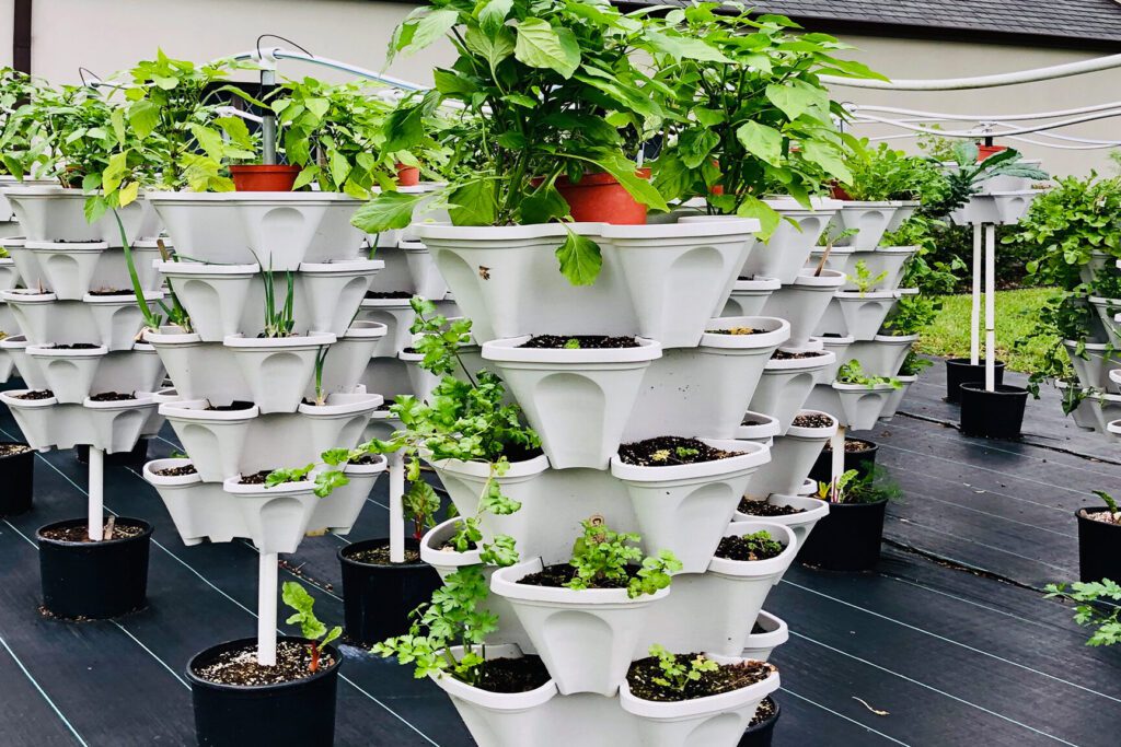 El sistema hidropónico vertical más eficiente: la solución perfecta ...