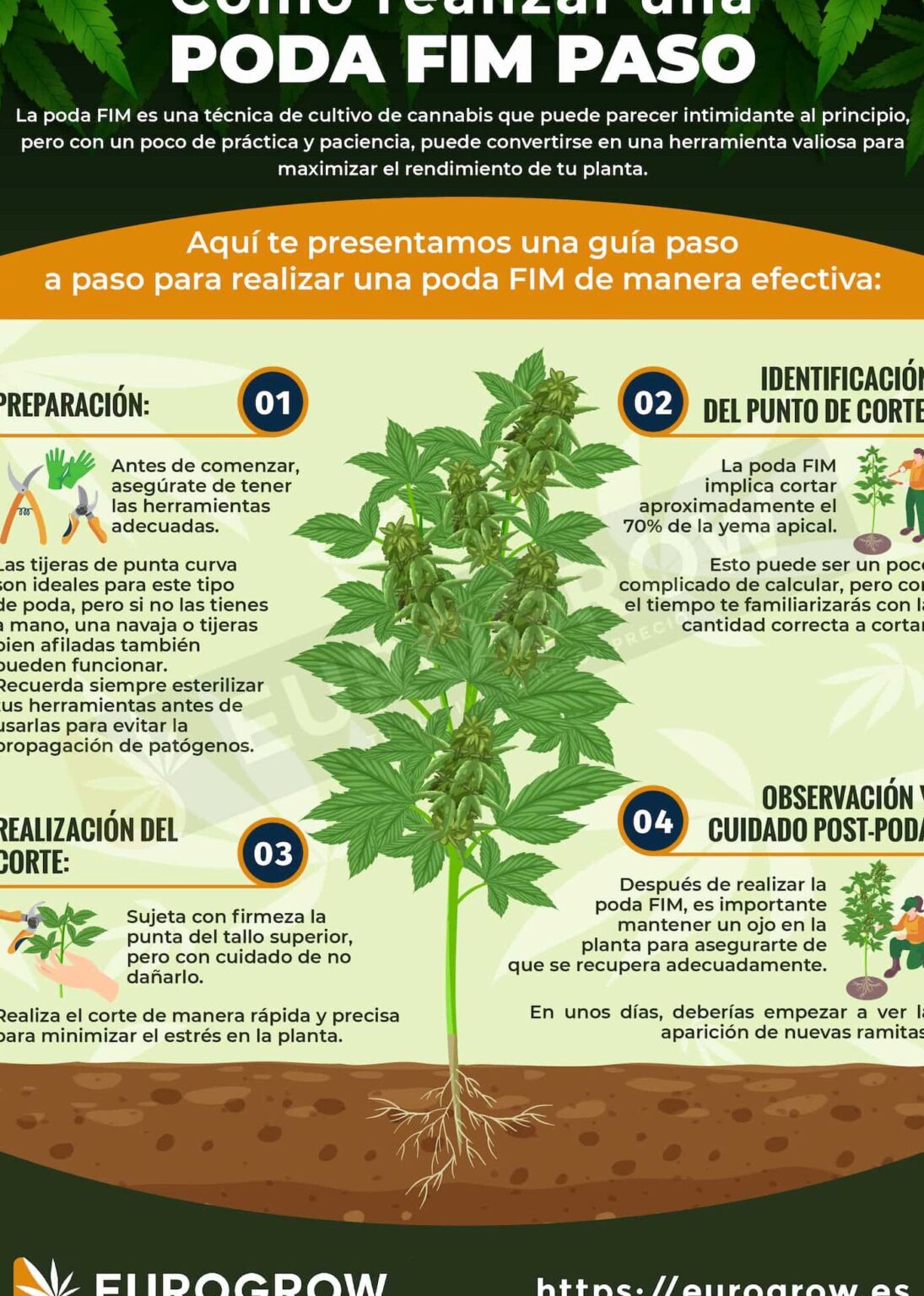 Guía completa de poda en verde: técnicas, beneficios y consejos ︎