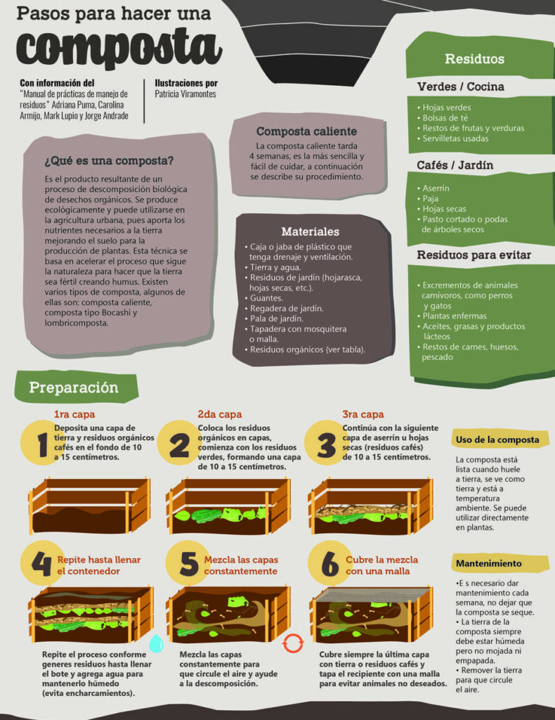 Guía práctica para preparar el té de compost: consejos y pasos simples ︎