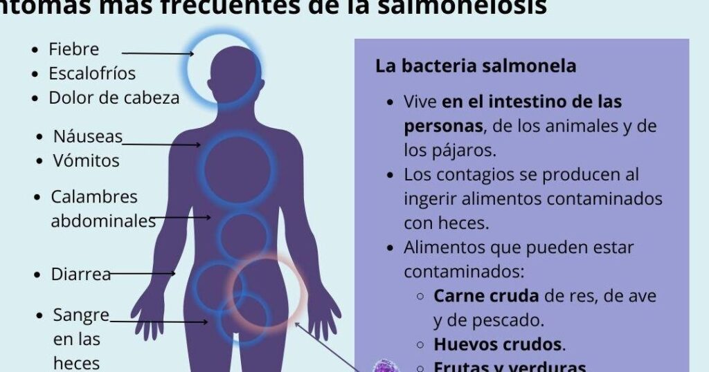 Todo lo que debes saber sobre la patogenicidad de la Salmonella: causas ...