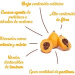 Todo lo que necesitas saber sobre el níspero: características, cuidados ...