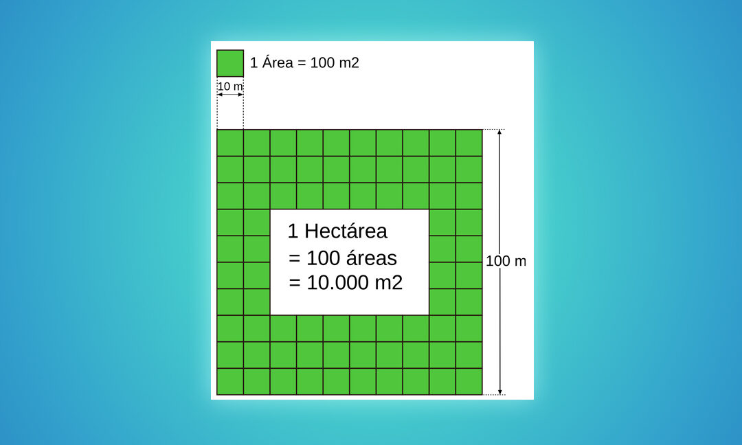 Todo Lo Que Necesitas Saber Sobre La Medida De Media Hect rea