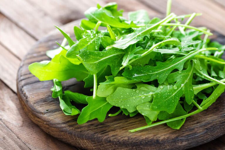 Todo lo que necesitas saber sobre la rúcula: beneficios, usos y cuidados ︎