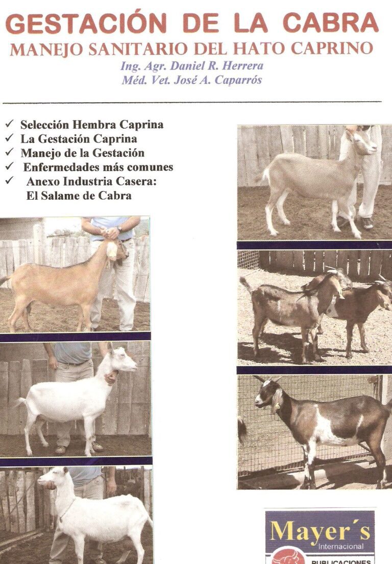 Guía completa y práctica para la cría de cabras: consejos, cuidados y ...