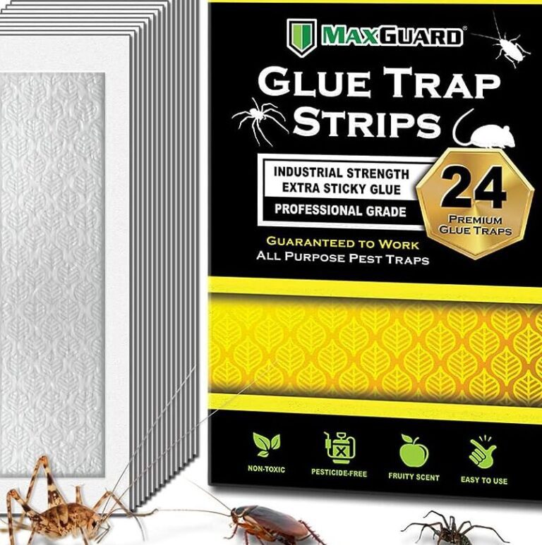 Trampas para insectos: la solución efectiva para deshacerte de plagas ︎